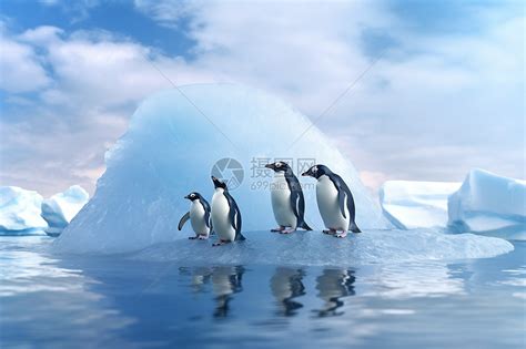 南极的企鹅图片素材 正版创意图片600176637 摄图网