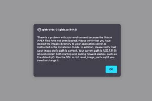 Oracle Apex On Autonomous With Custom Ords Running In The Clouds