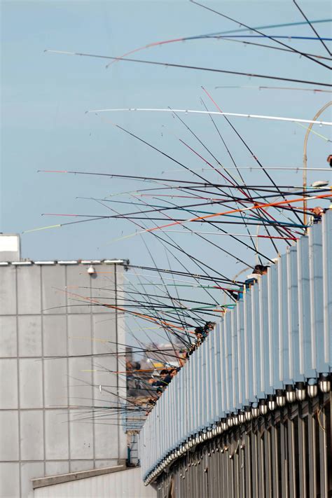 집 밖의 강가 고요한 고요함 기댄 낚시 낚시 라이프스타일 낚시 활동 낚시터 낚싯대 난간 남자 뒷모습 라이프 스타일 사진 레저 무 다냐 바다
