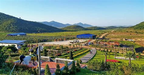 Qhocsoojwmbjwzkusqce 