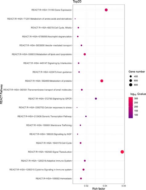 Target Prediction Of Ccl 4 With React Pathways Analysis Download