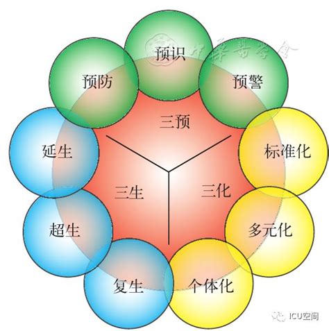 中国cpr共识与美国cpr指南