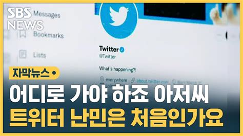 트위터 난민들 어디로 대안 Sns 급부상 자막뉴스 Sbs Youtube