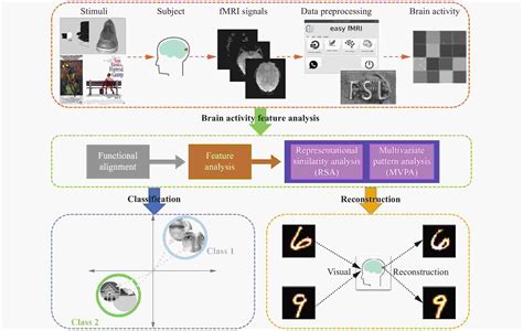 fixation maps reconstructed directly from fmri activi