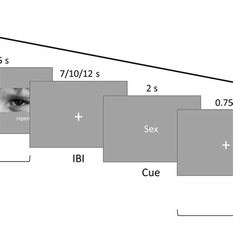 A Whole Brain Statistical Parametric Maps Representing Brain