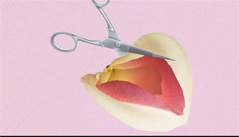 Rev Up Your Sex Life With Vaginal Rejuvenation Aesthetic Medical