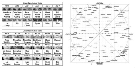 Dealing With Unconventional Facial Expressions In Neural Synthesis Metaphysicai