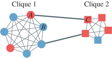 Illustrative Example Of A Small Two Clique Network In This Example