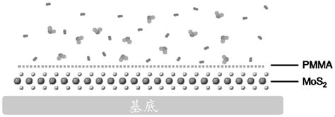 一种去除二维TMDCs表面PMMA残留的方法