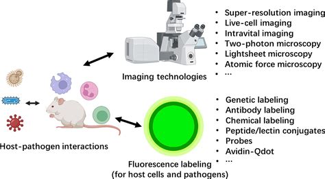 Frontiers Editorial The Spatial Temporal Dynamics Of Host Pathogen