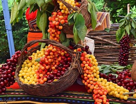 ЧРД Теди Ябълка с канела