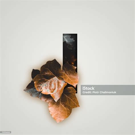 자연 개념입니다 회색 배경에 화려한 나뭇잎과 창조적 인 번호 단풍과 창조적 인 타이포 그래피 프레젠테이션 서식 파일의 장입니다 1 개 번호 로마 숫자 0명에 대한 스톡 사진