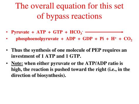 Ppt Gluconeogenesis Powerpoint Presentation Free Download Id 3804965