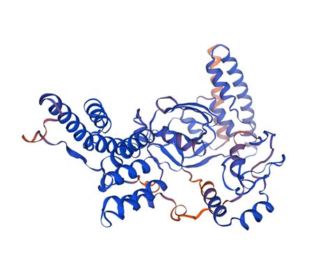 Expasy Protein Blast At Melinda Morris Blog