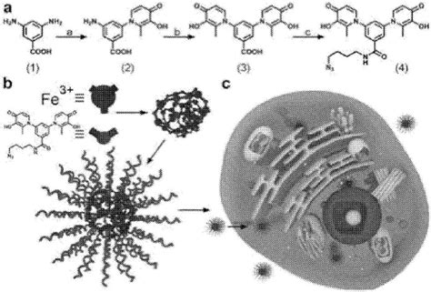 Biocompatible Infinite Coordination Polymer Nanoparticle Nucleic Acid