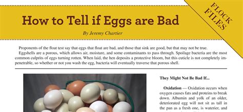 How To Tell If Eggs Are Bad Backyard Poultry