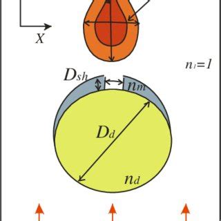 The Scheme Of Numerical Simulation Download Scientific Diagram
