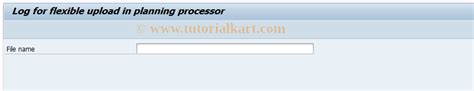 9KEY SAP Tcode Log For Flexible Actual Excel Upload