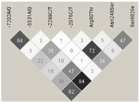 Linkage Disequilibrium Ld Plot Of R 2 Values Between Download