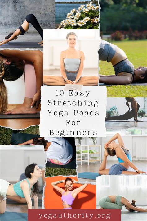 10 Simple Stretching Yoga Poses For Beginners Yoga Poses For