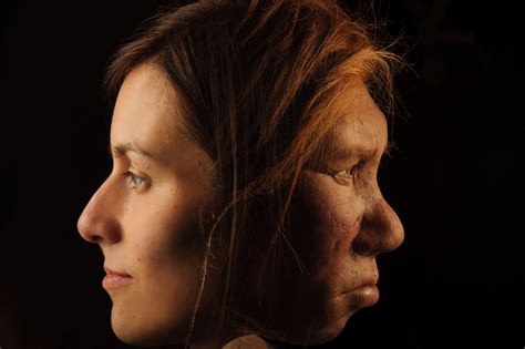 National Geographic Neanderthal Dna Article Joe Mcnally Photo