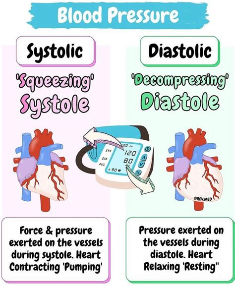 systolic and diastolic