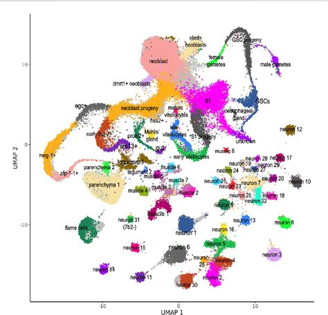 Figure From Single Cell RNA Seq Analyses Show That Long Non Coding RNAs Are Conspicuously