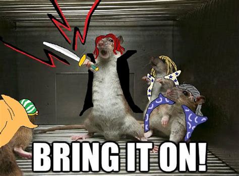 Rat Haired Pirates Rpiratefolk