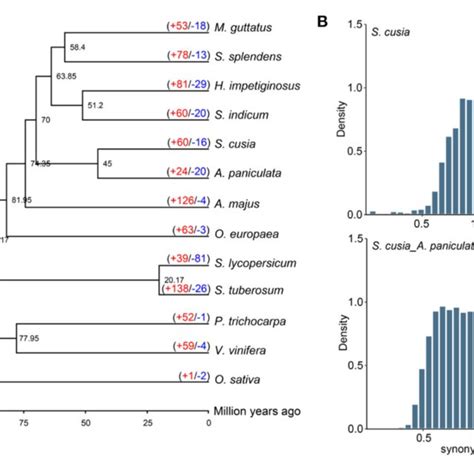 Comparative Genomic And Phylogenetic Relationship Analyses A Download Scientific Diagram