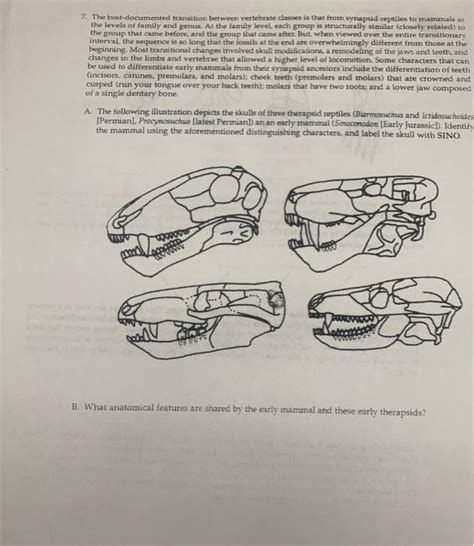 7 The Best Doeumented Transition Between Vertebrate