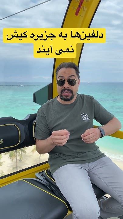 دلفین ها به جزیره کیش نمی آیند Youtube