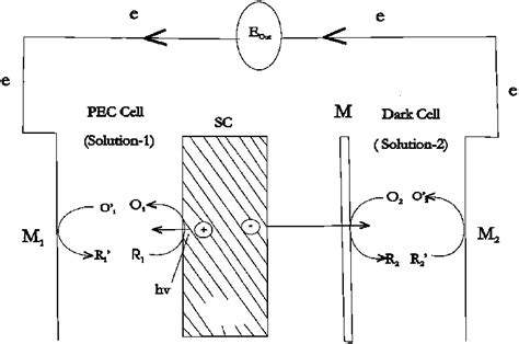 Schematic Diagram Of Sc Sep Pec Cell Download Scientific Diagram