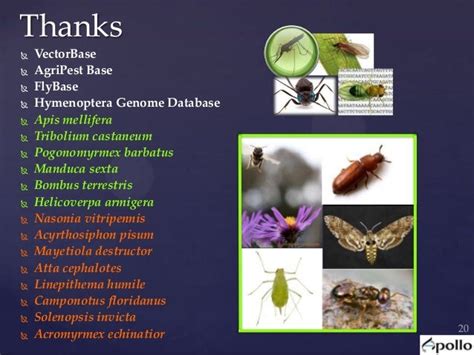 Web Apollo A Web Based Genomics Annotation Editing Platform 13arthg…