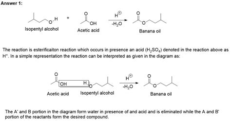 [solved] Synthesis Of Isopentyl Acetate Banana Oil Isopentyl Acetate Can Course Hero