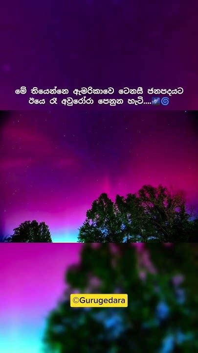 බලන්න ස්වාභාවධර්ම කොච්චර ලස්සනද කියලා 🌌🌀 Shorts Usa Weather