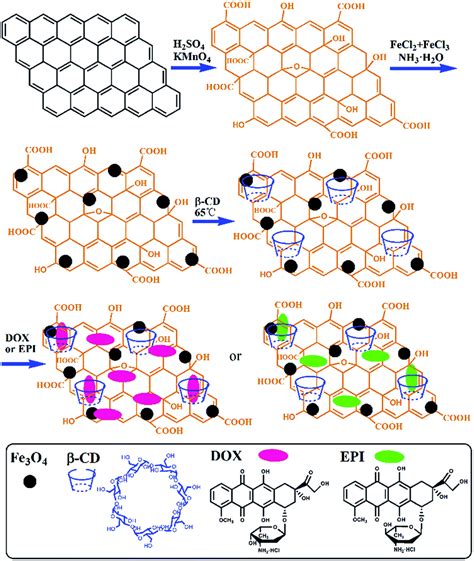 β Cyclodextrin Modified Graphene Oxidemagnetic Nanocomposite For Targeted Delivery And Ph