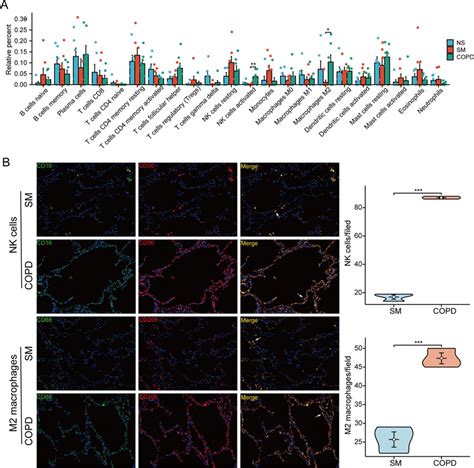 Immune Cell Infiltration Analysis And Validation A The Composition And Download Scientific