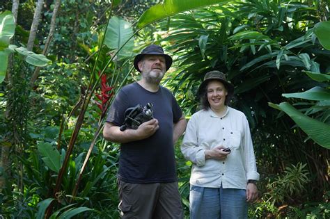 Greenara A Tropical Patch Celebrating All Gradients Of Green From