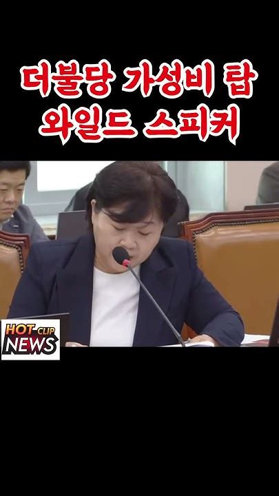 더불당 가성비 탑 와일드 스피커더불어민주당국정감사스피커 Youtube