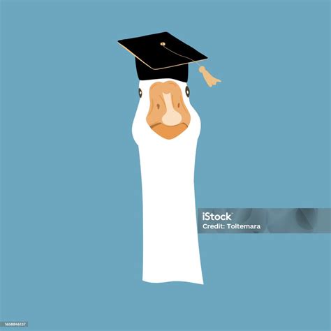 귀여운 졸업생 거위 캐릭터 졸업 모자를 쓴 거위들 벡터 격리 그림 새에 대한 스톡 벡터 아트 및 기타 이미지 새 학사모 가금류 Istock