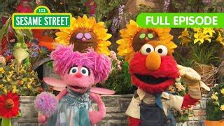 Elmo And Abbys Morning Routine Sesame Street Full Episode Videos
