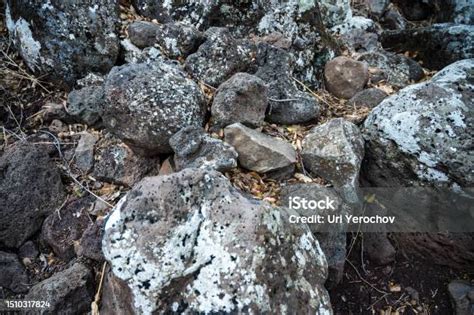 산 근처에 있는 큰 바위나 바위를 클로즈업합니다 큰 여러 가지 빛깔의 화강암 햇빛에 빛나는 주황색 입자가 있는 큰 회색 석조 구조물의 세부 사항 0명에 대한 스톡 사진 및