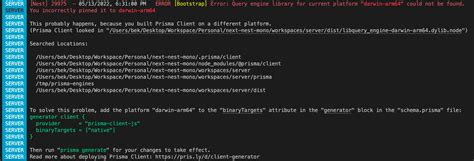 Inlinebundle The Contents Of The Prisma Schema On Generate · Issue