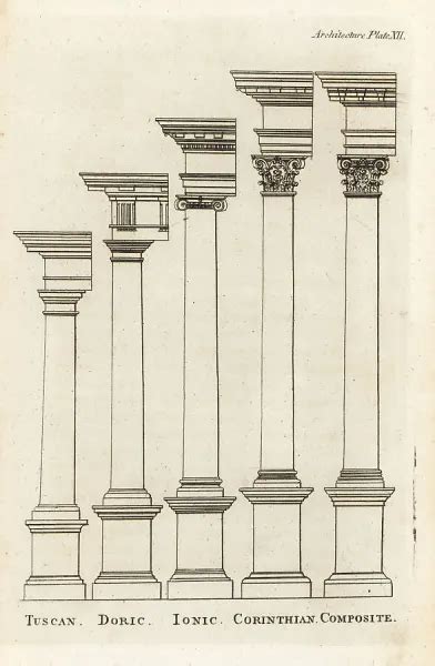 Columns Of The Various Orders Of Classical Architecture