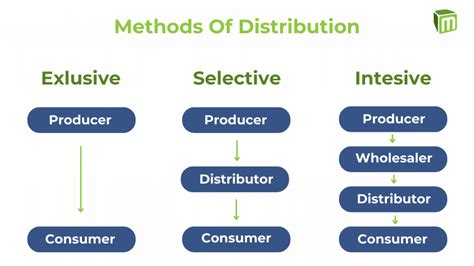 Tips For Choosing The Right Distribution Management Software The