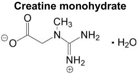 Creatine Creatine Monohydrate Uses Safety And Side Effects