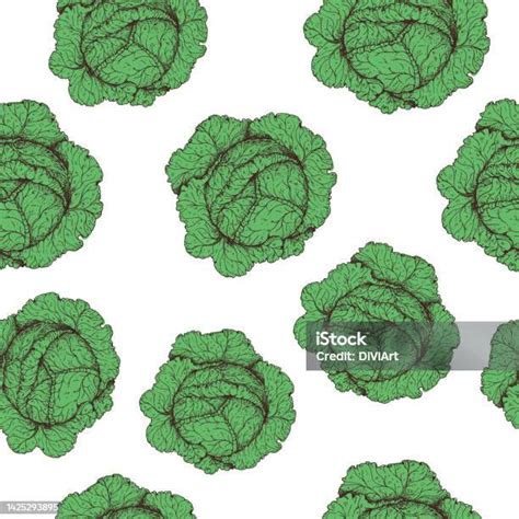 양배추 이음새가 없는 무늬 손으로 그린 배경 벡터 일러스트레이션 컬러 일러스트레이션 양배추 야채 손으로 그린 배경 상추에 대한 스톡 벡터 아트 및 기타 이미지 Istock