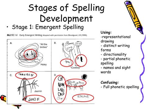 What Is Partial Alphabetic Stage