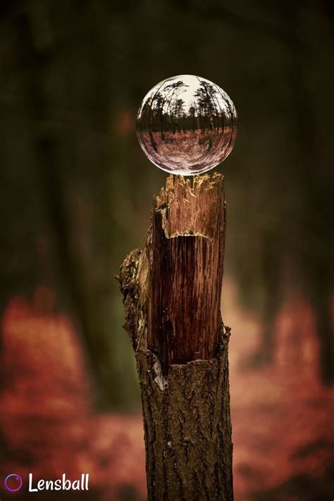 Magical Glass Ball Photography Magical Glass Ball Photography