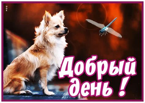 Зажигательная и веселая гиф открытка Добрый день Скачать бесплатно на